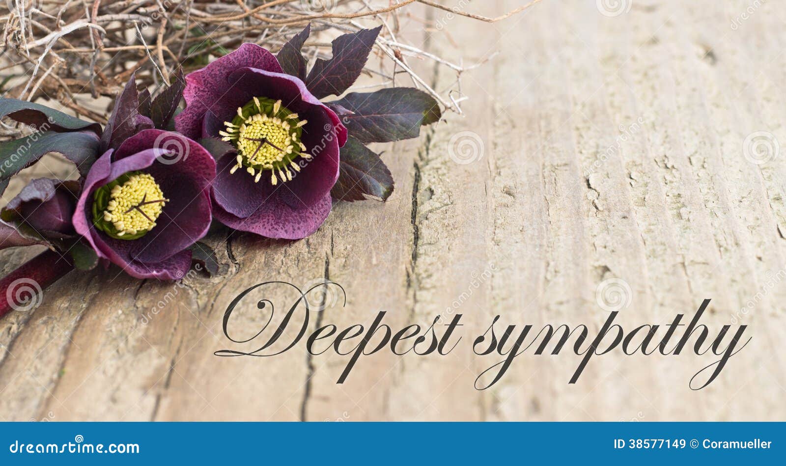 carte de condoleances en anglais - Modèle Carte