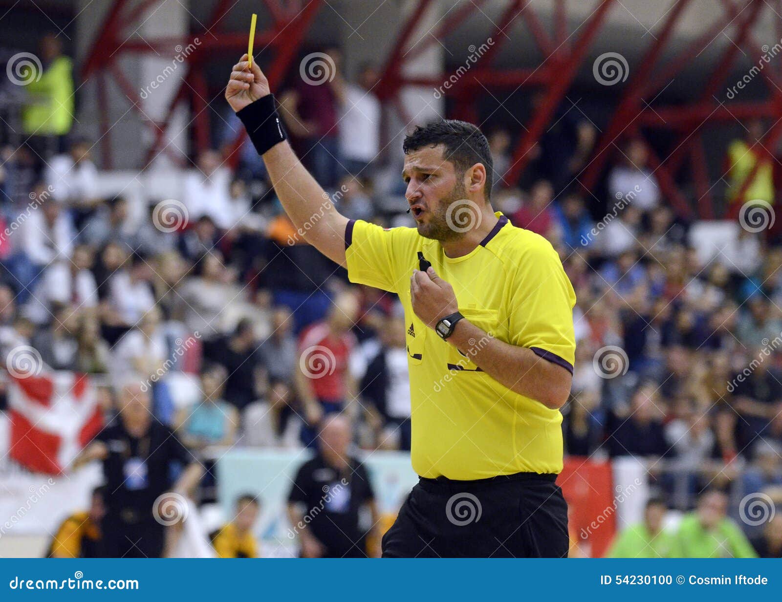 Carte Jaune D'exposition D'arbitre De Handball Image éditorial - Image ...