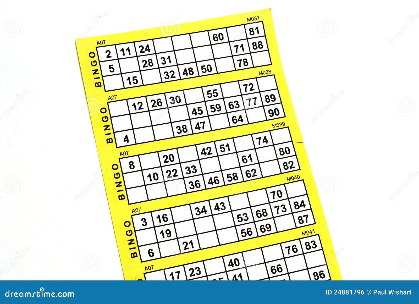 Carte vide de bingo-test photo stock. Image du loisirs - 24881796