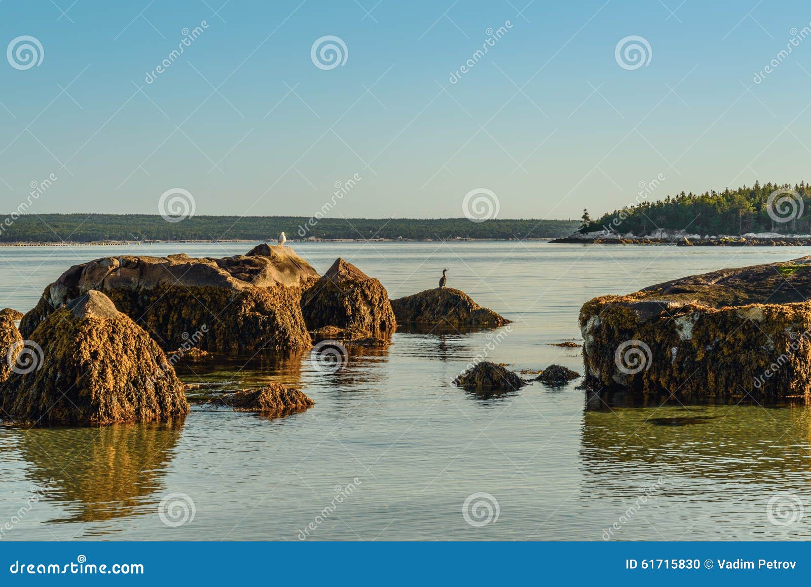 Carters Beach stock photo. Image of ocean, weather, outdoor - 61715830