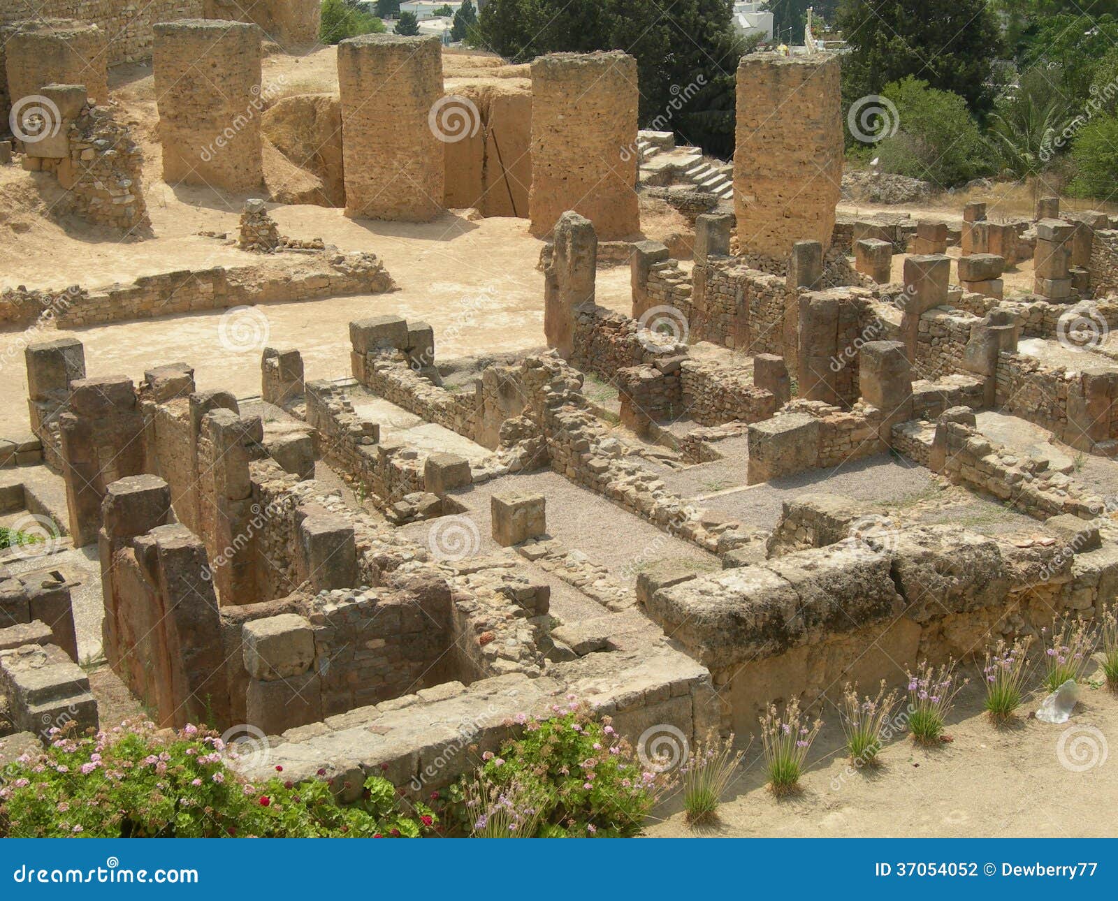 Carthage stock photo. Image of ruins, antique, national - 37054052