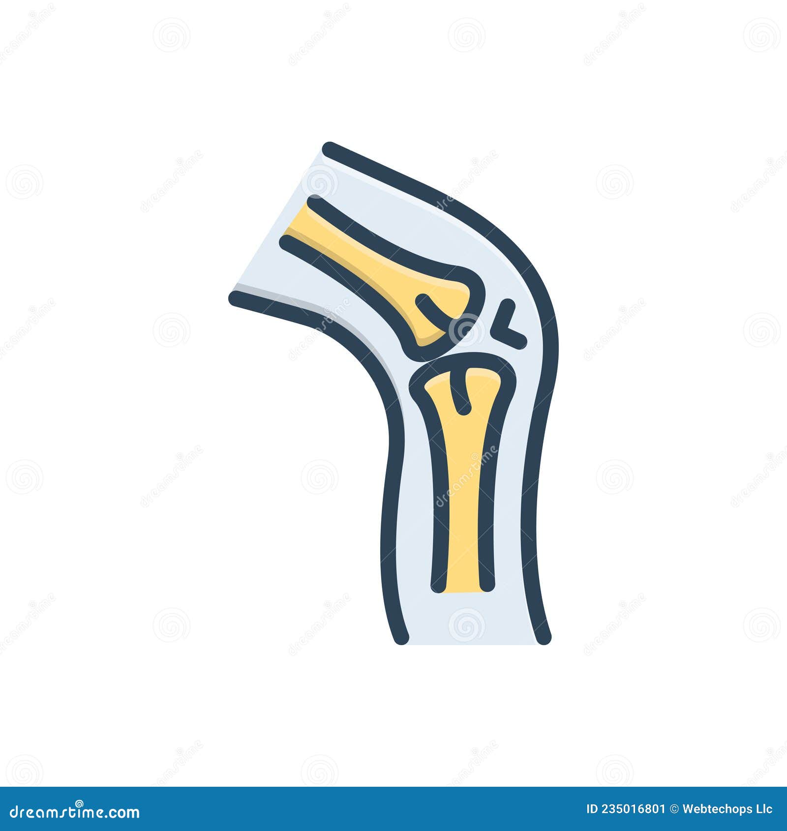 Color Illustration Icon for Cartilage, Disease and Femur Stock ...