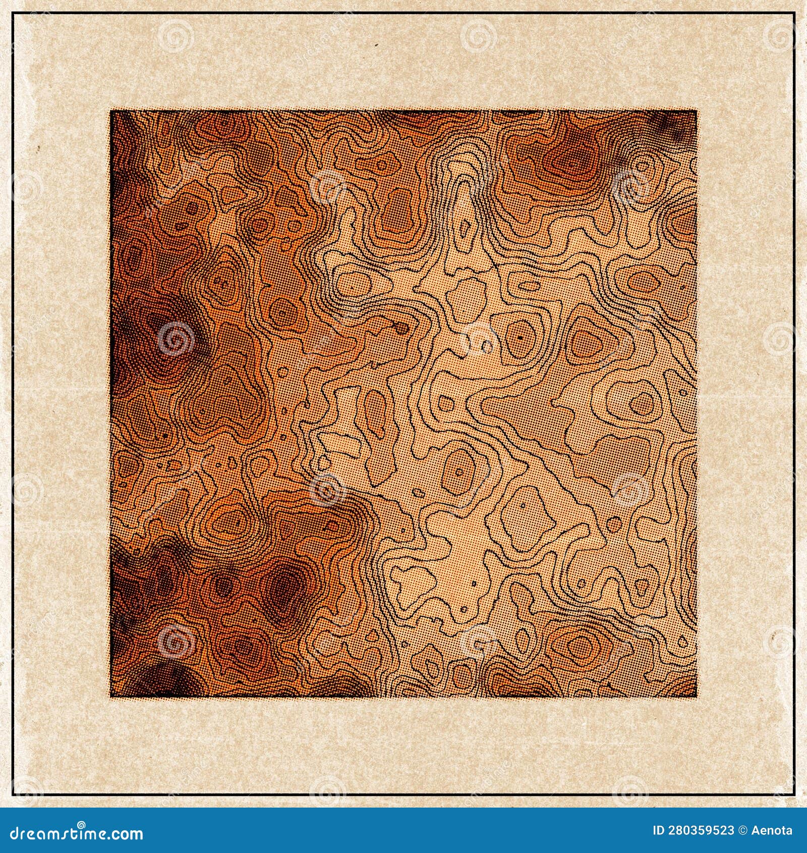 Lateral Topographic Relationship Of The Spinal Nerve And Vertebral ...