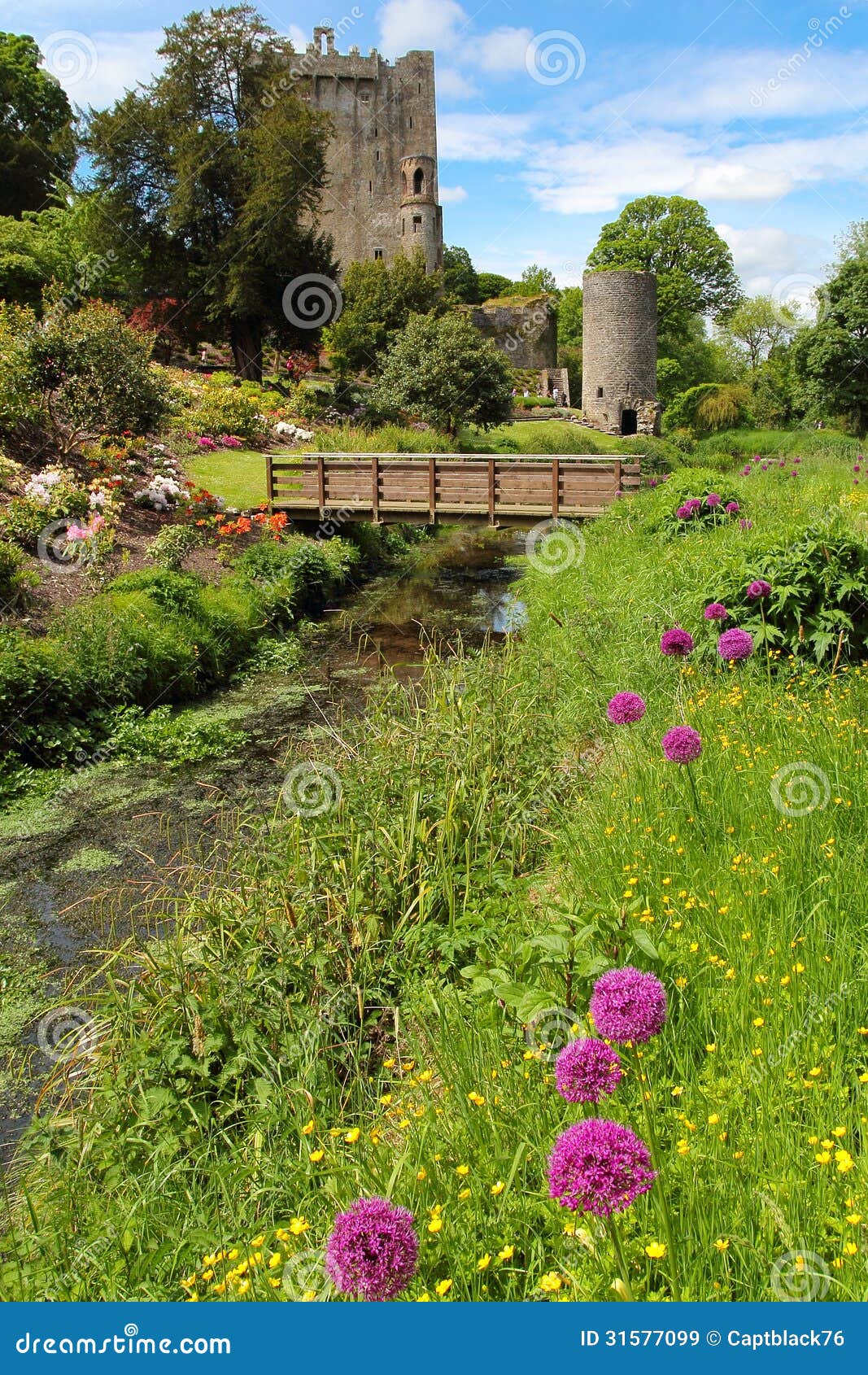 Cartolina Variopinta Del Castello Di Lusinga Immagine Stock - Immagine ...