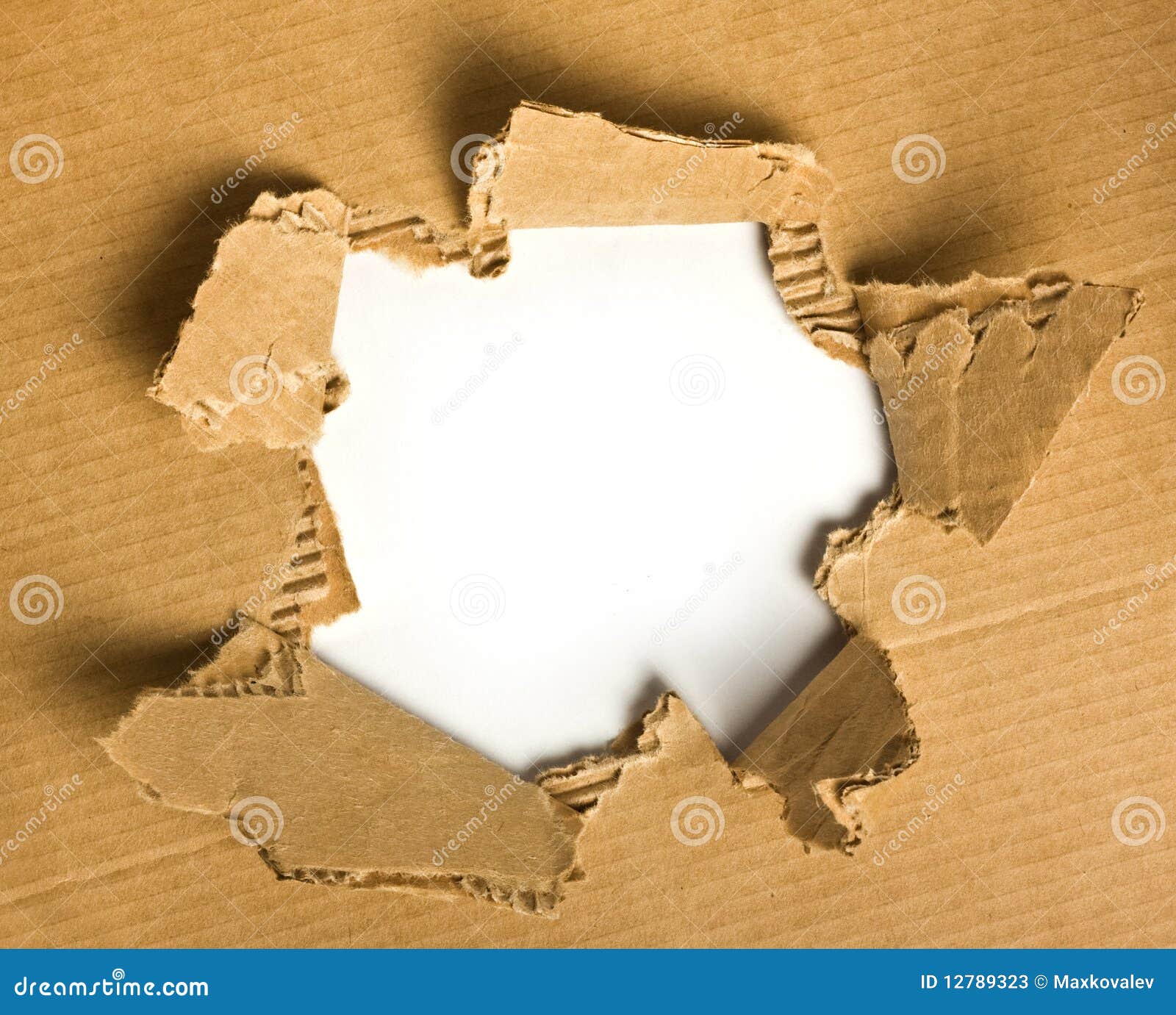 Carton déchiré image stock. Image du déchirure, larme - 12789323