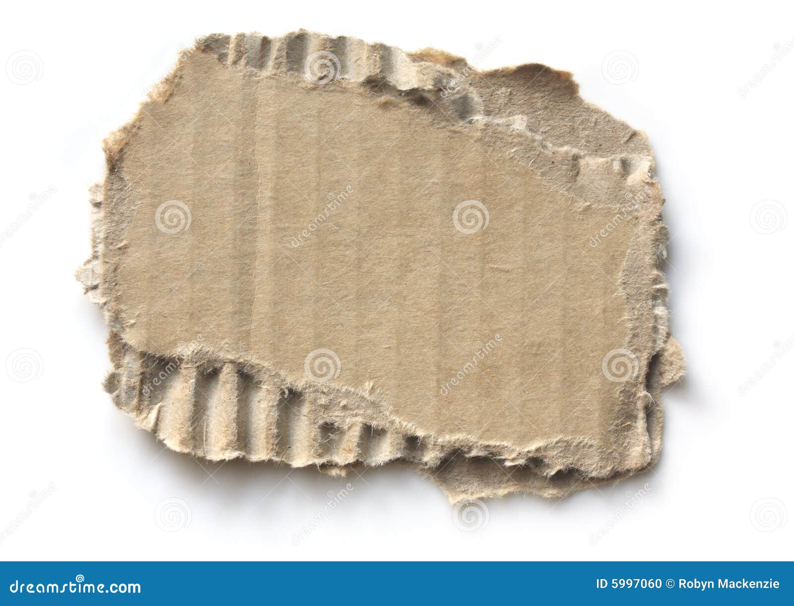 Carton déchiré photo stock. Image du étiquette, papier - 5997060