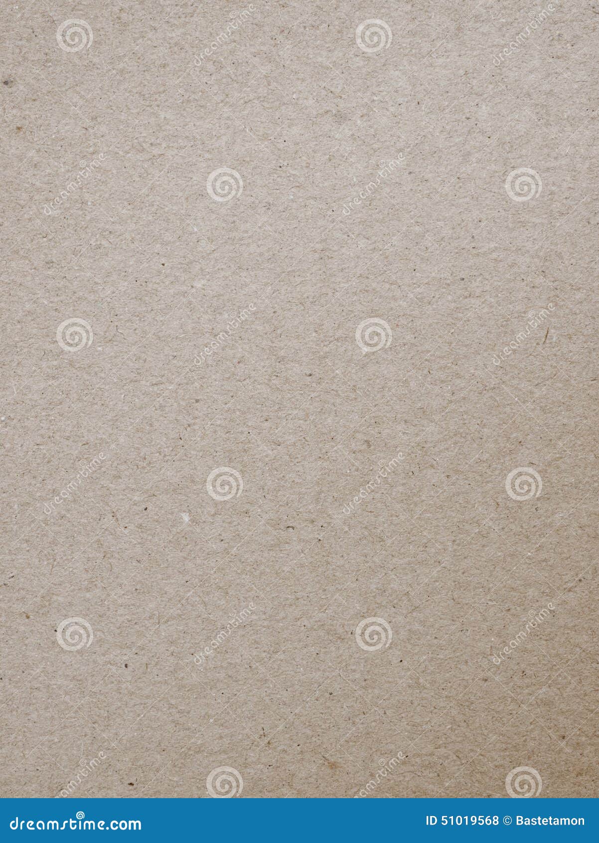 Carton texture stock photo. Image of sheet, brown, texture - 51019568