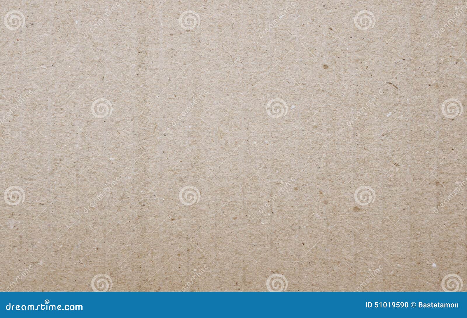 Carton texture stock photo. Image of rough, pasteboard - 51019590