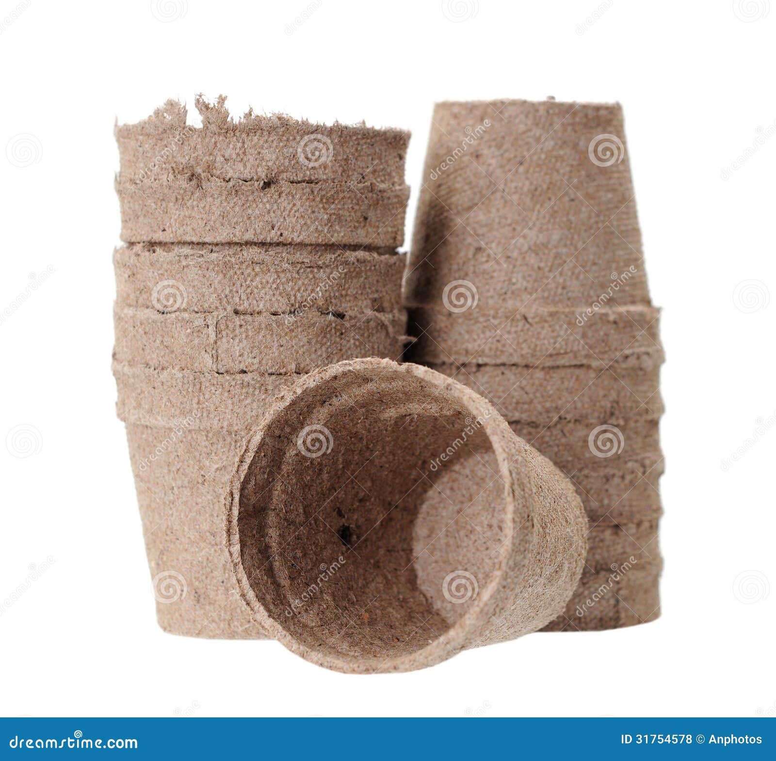 Carton vase stock photo. Image of plant, decoration, vase - 31754578