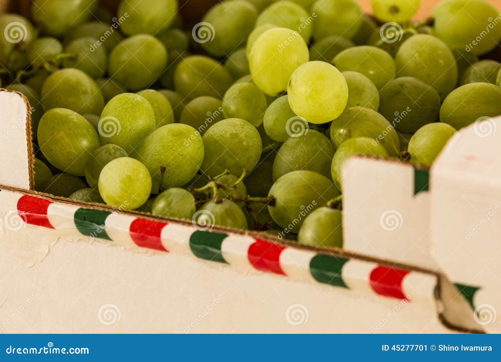 Carton of white grapes stock image. Image of tasty, fruit - 45277701