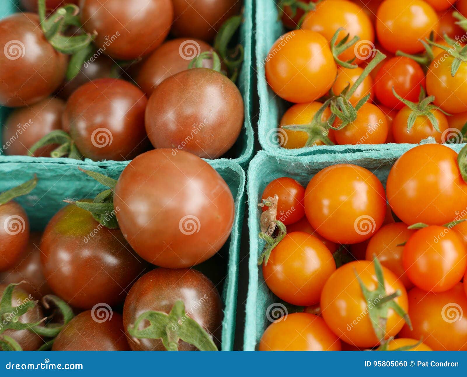 Cartons of tomatoes stock photo. Image of cardboard, cherry - 95805060