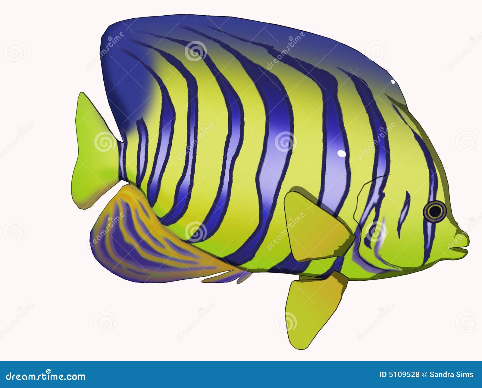 Cartoon Angelfish stock illustration. Illustration of underwater - 5109528