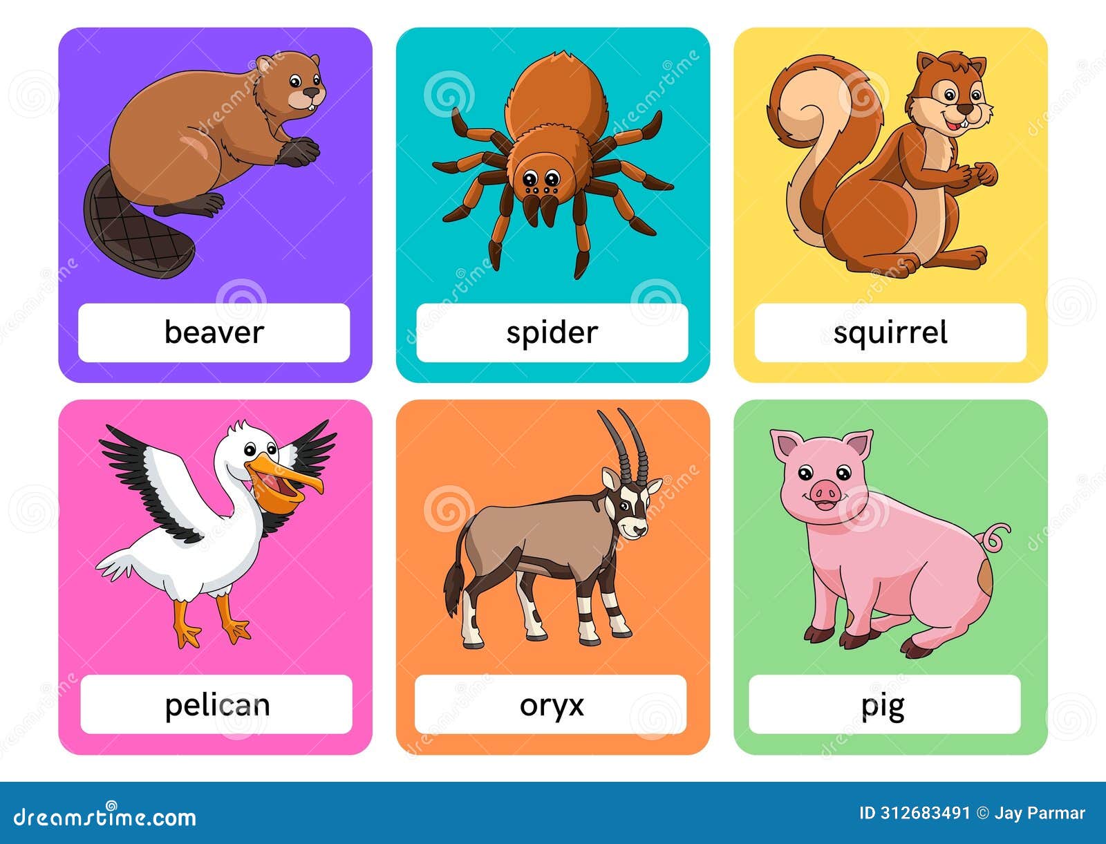 Cartoon Animals Flashcards - 9 Stock Illustration - Illustration of ...