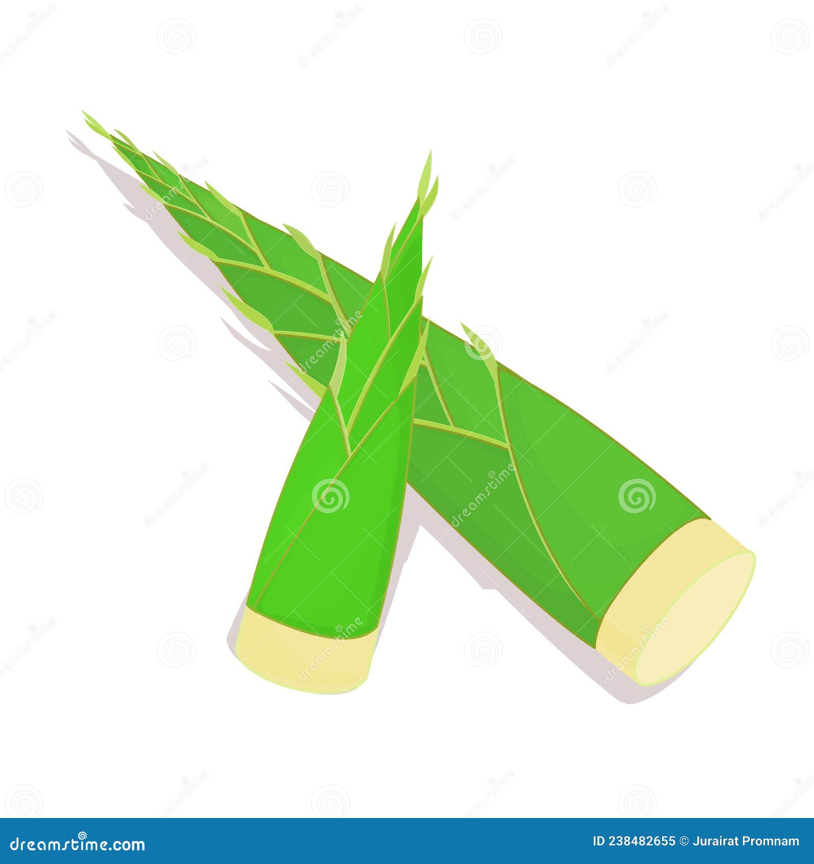 Cartoon Bamboo Vector on Background. Stock Illustration - Illustration ...