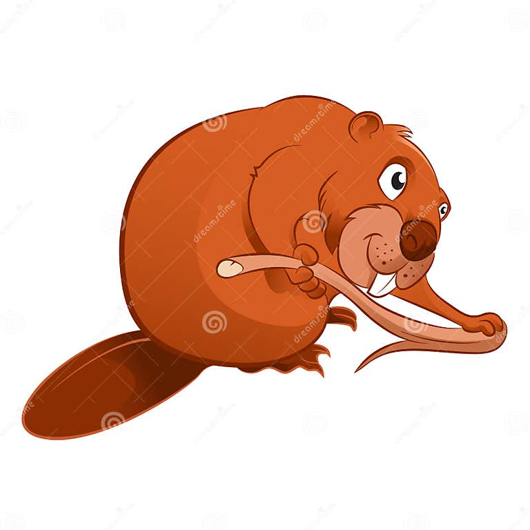 Cartoon baver stock vector. Illustration of humor, mammals - 40555370