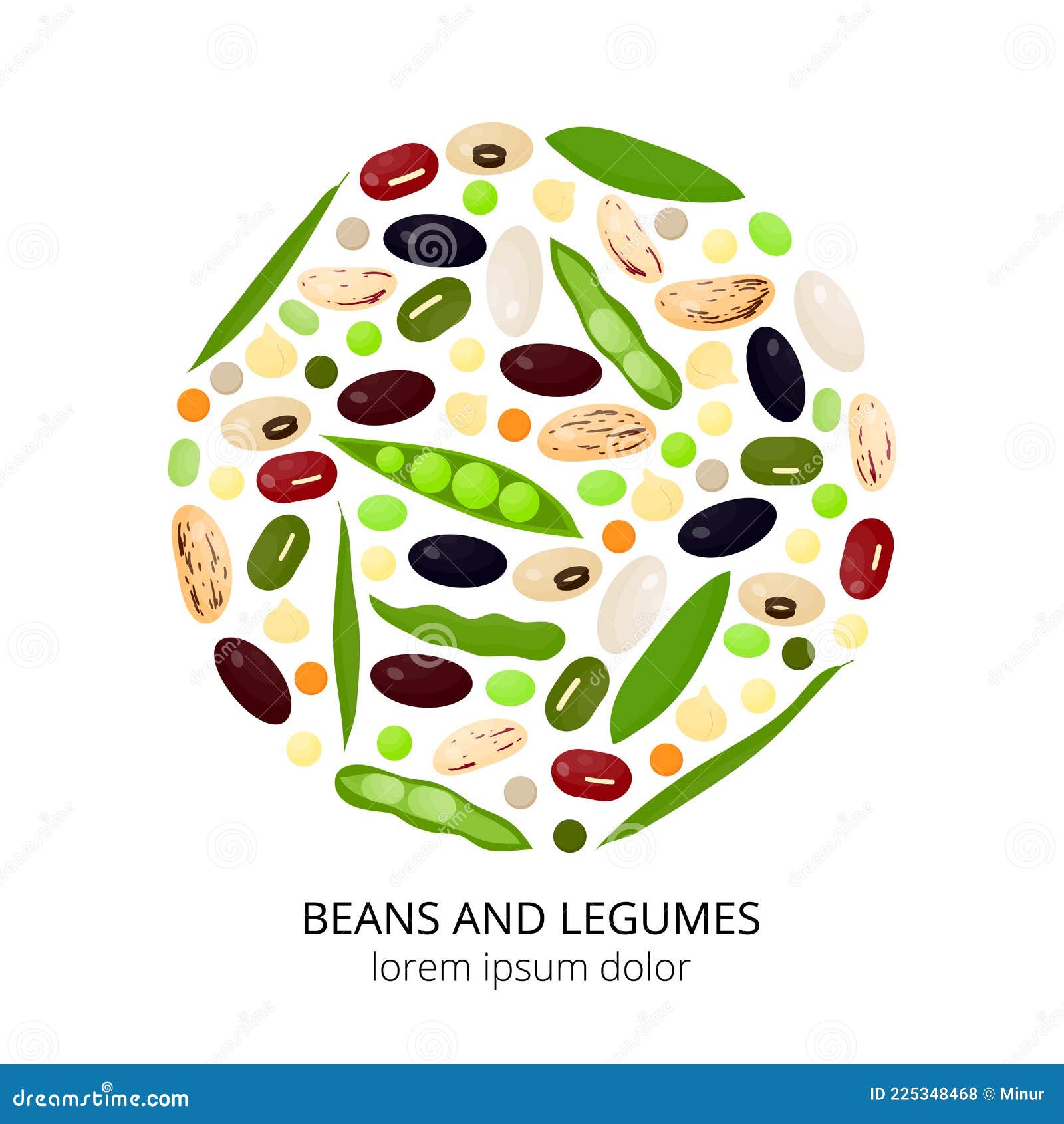 Set Of Different Legumes Cartoon Vector | CartoonDealer.com #45235209