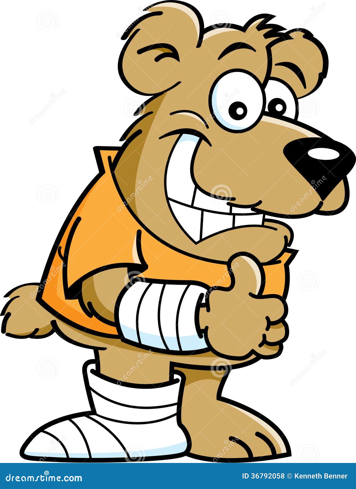 Cartoon Bear with Casts stock vector. Illustration of cartoon - 36792058