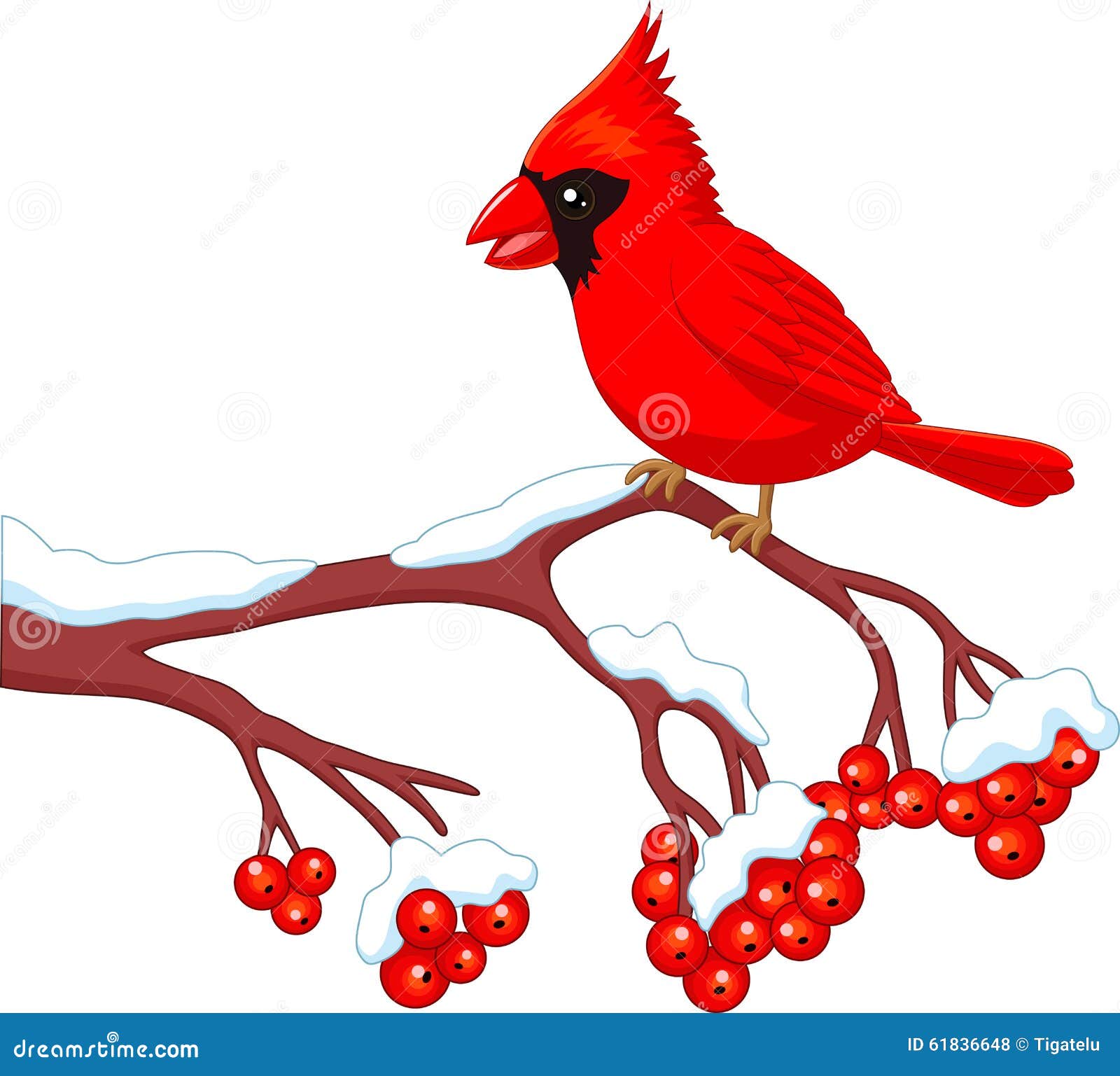 Cartoon Beautiful Cardinal Bird Posing On The Berry Tree Stock Vector ...