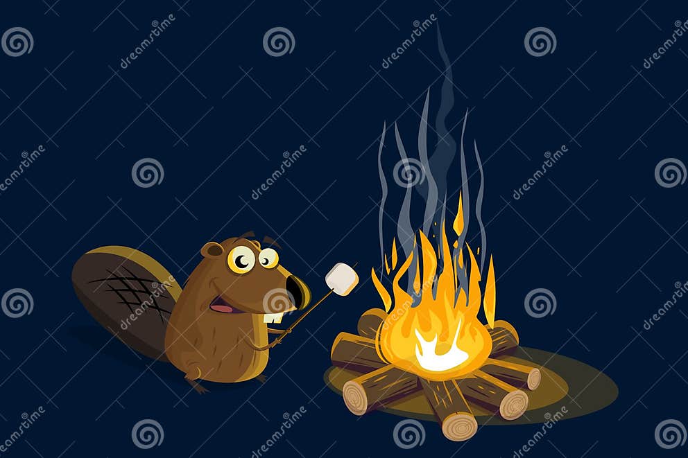 Cartoon Beaver Grilling Marshmallow at a Campfire Stock Illustration ...