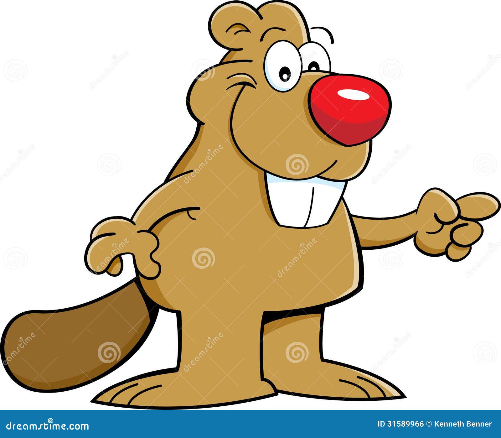 Cartoon beaver pointing stock vector. Illustration of clip - 31589966