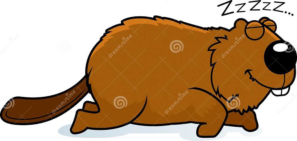 Cartoon Beaver Sleeping stock vector. Illustration of beaver - 116108284