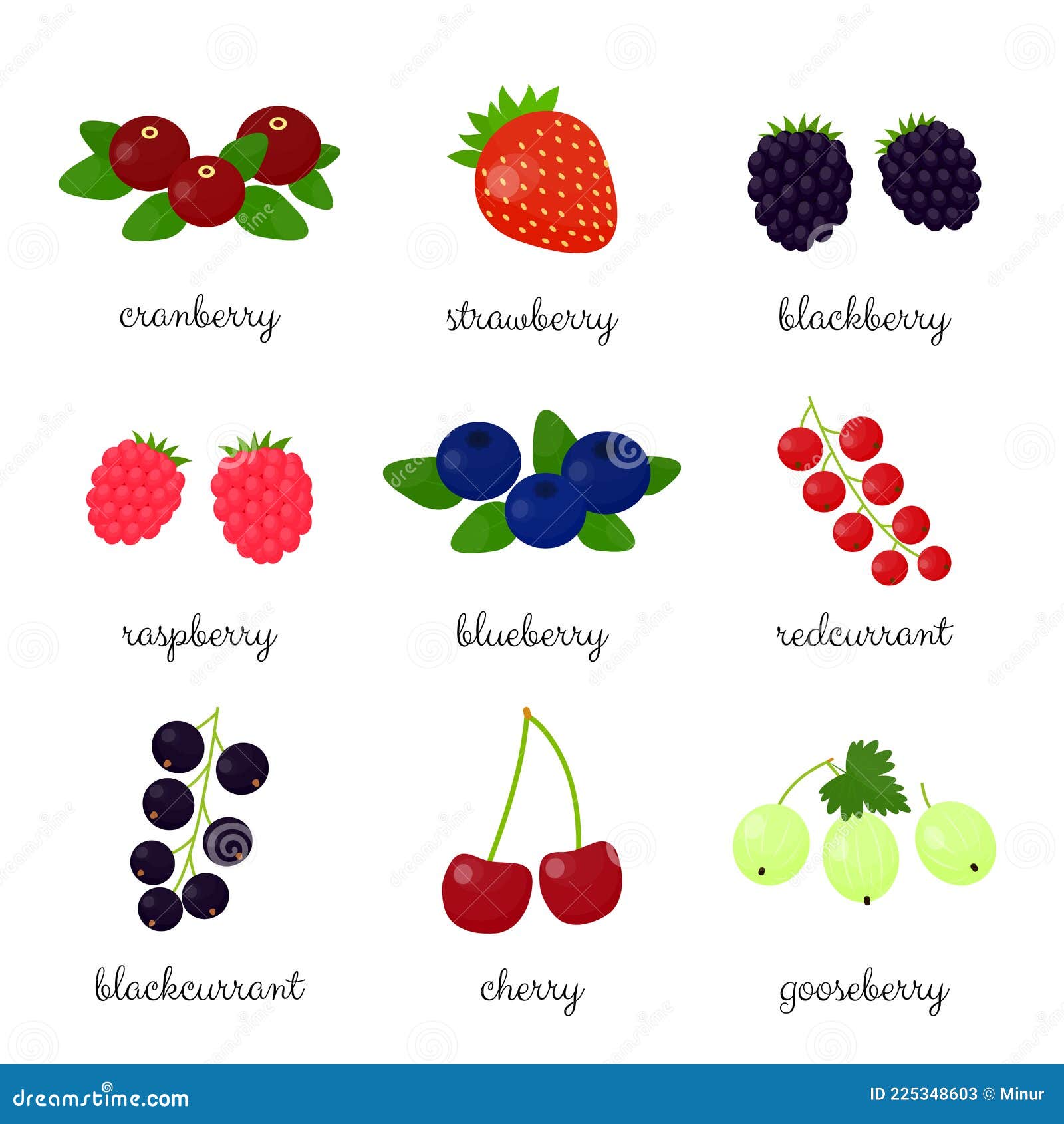 Cartoon berries set. stock vector. Illustration of engraving - 225348603