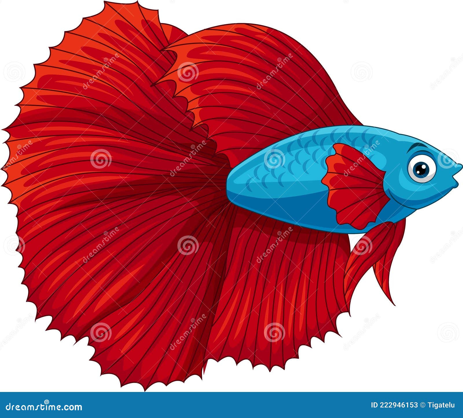 Cartoon Betta Fish or Siamese Fighting Fish Stock Vector - Illustration ...