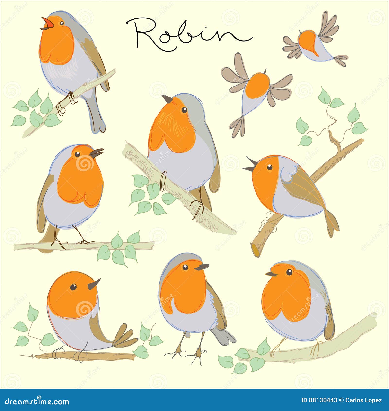 Robin Cartoon Drawing