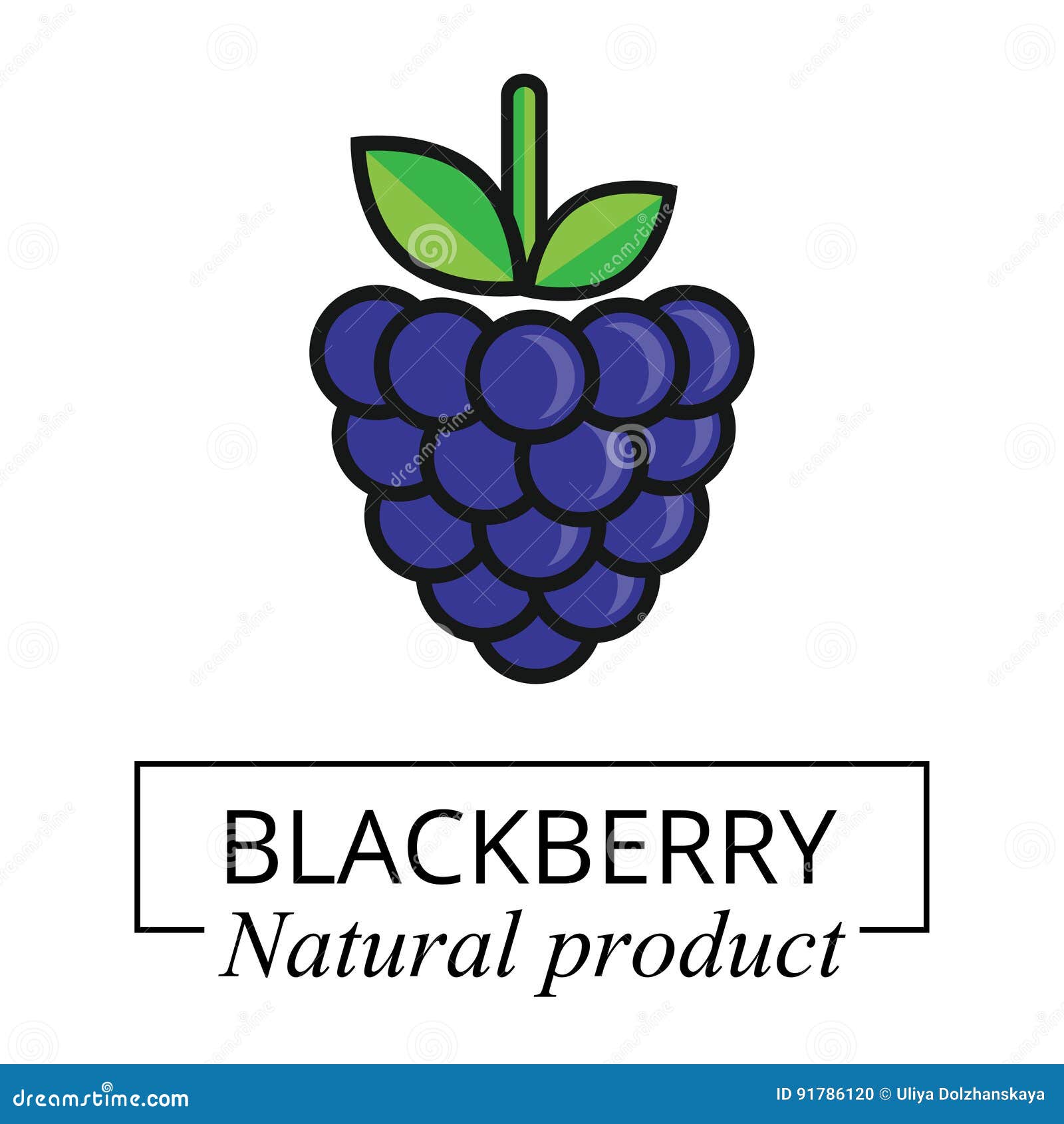 Blackberry Label Vector | CartoonDealer.com #91800408