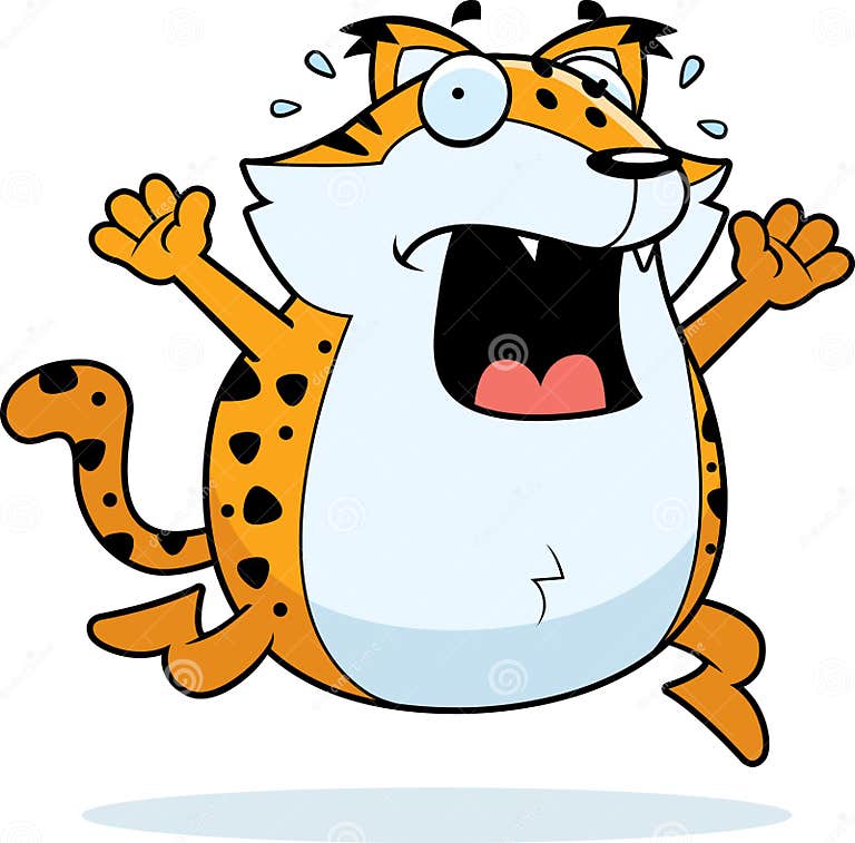 Cartoon Bobcat Panic stock vector. Illustration of animal - 52247909