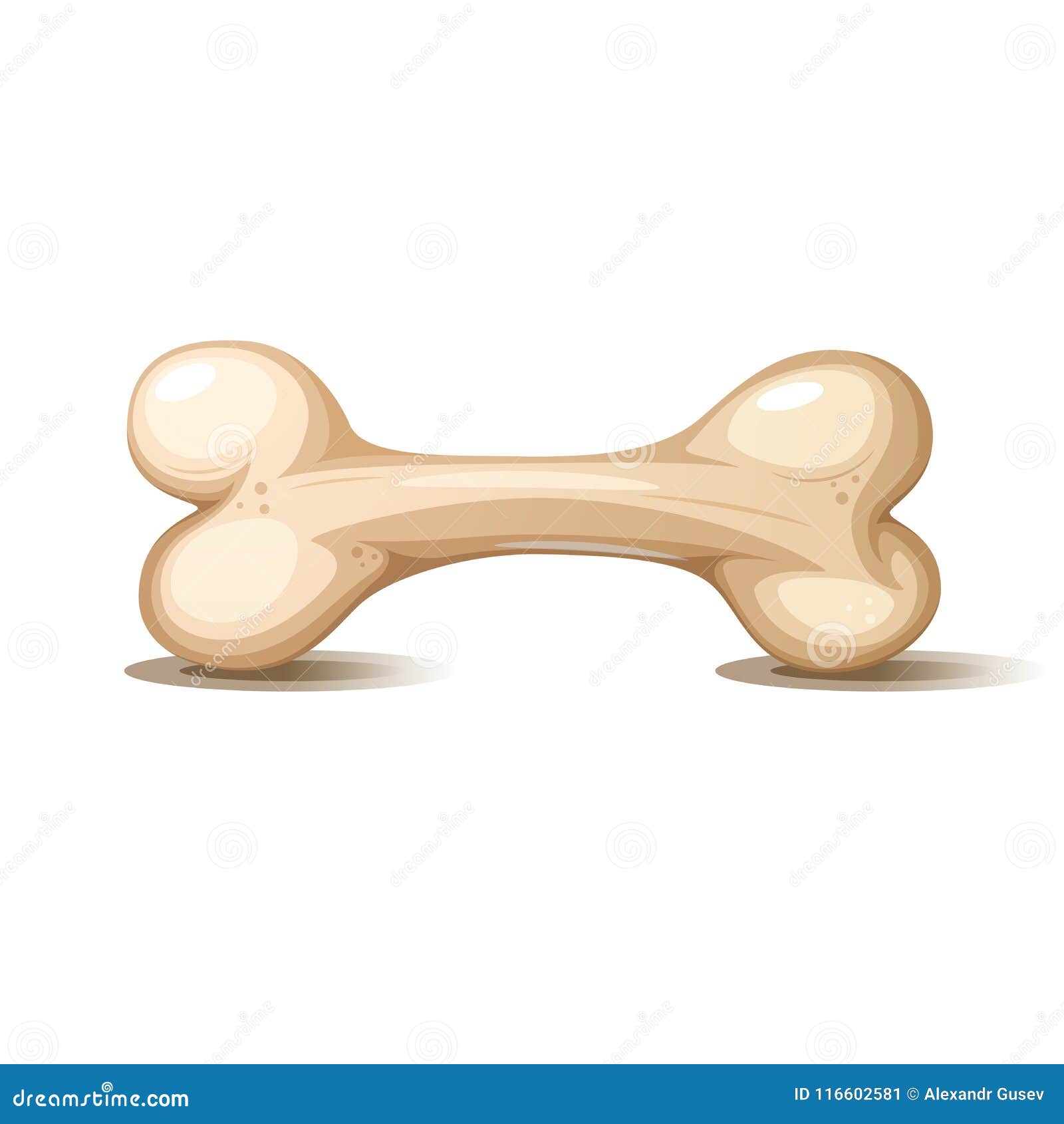 Cartoon Bone Vector Illustration | CartoonDealer.com #38043532
