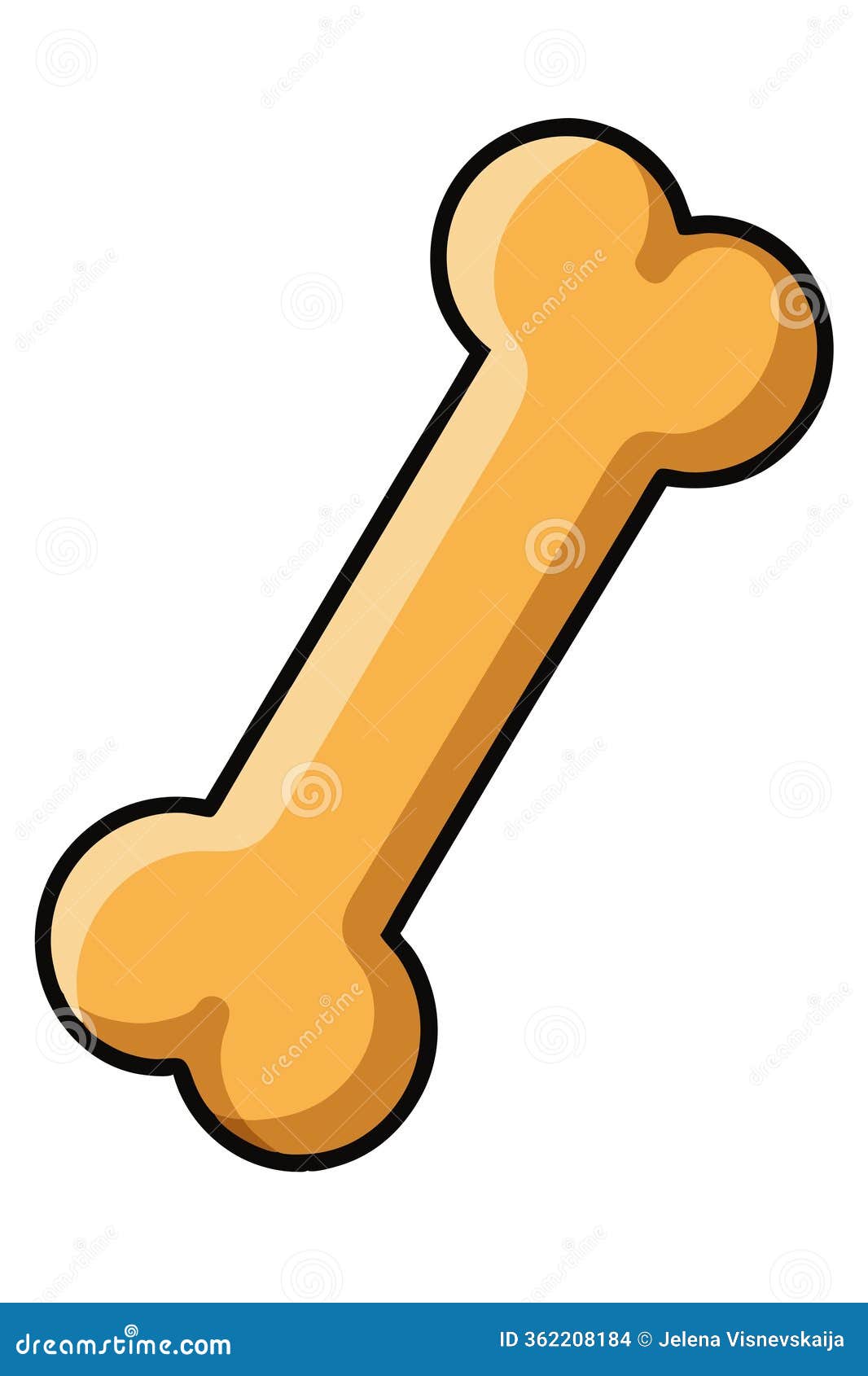 Cartoon Bone Vector Illustration | CartoonDealer.com #38043532