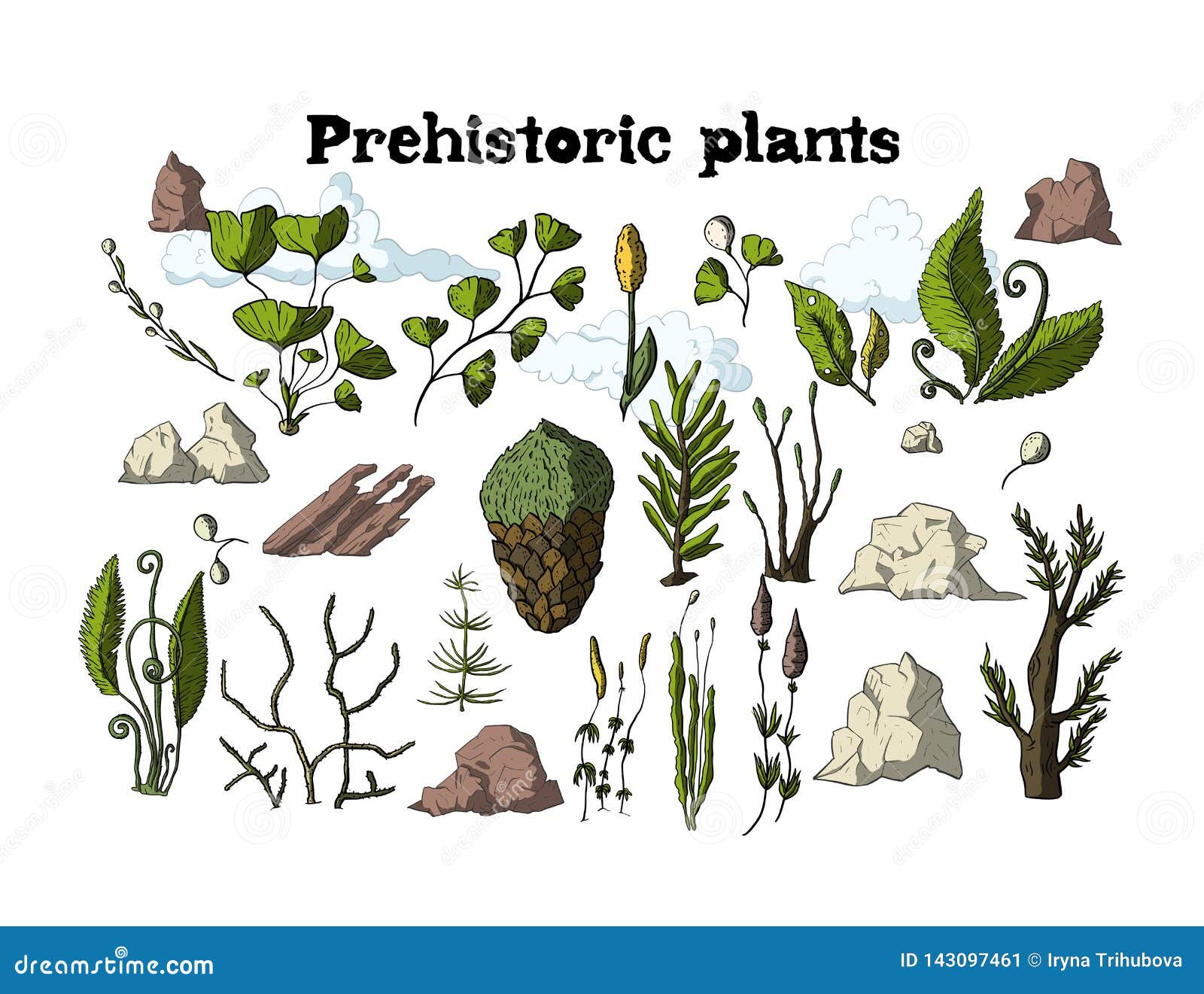 Cartoon Botanical Rainforest Set. Stock Vector - Illustration of forest ...