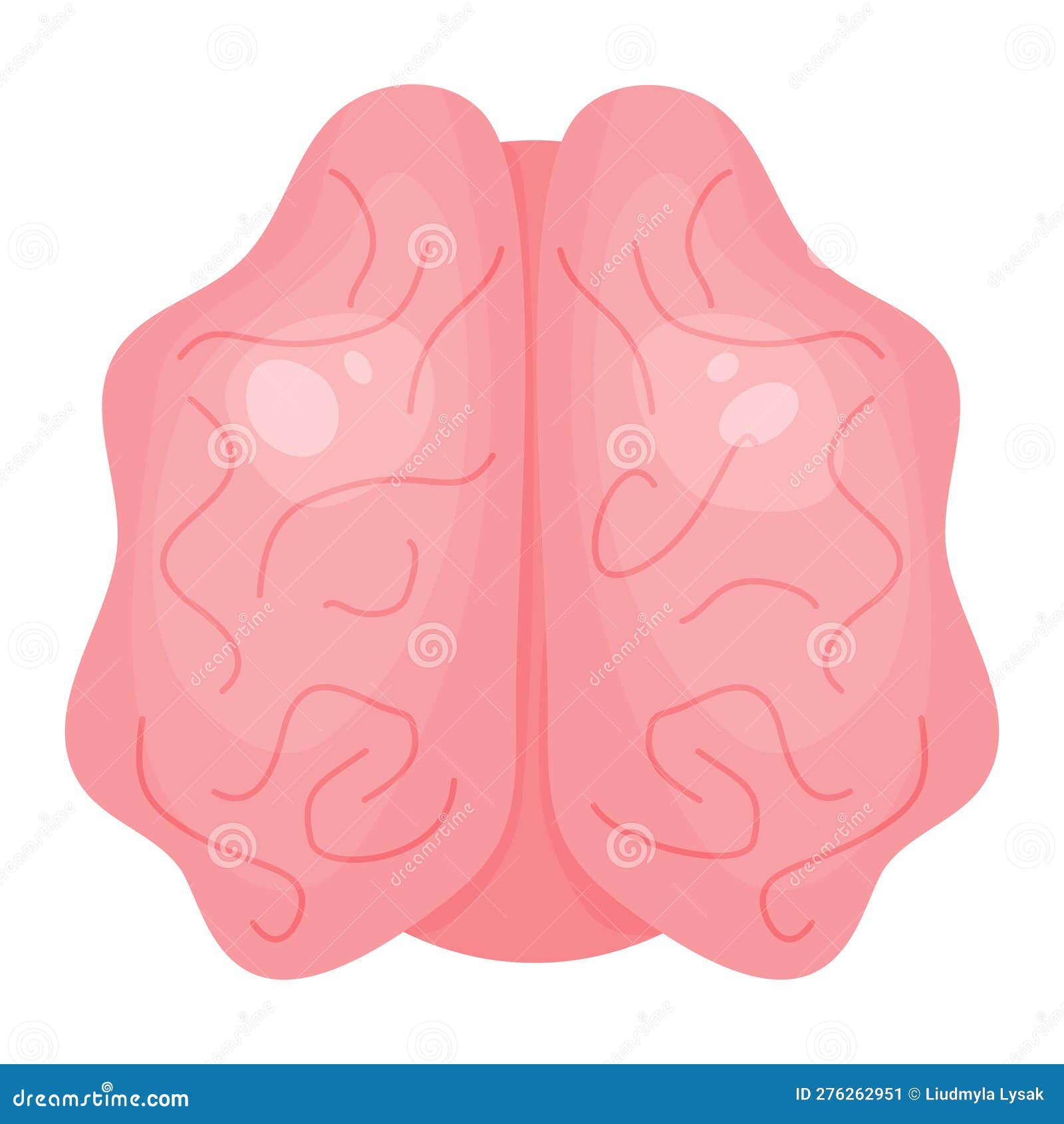 Cartoon Brain. Human Organ Central Nervous System. Vector Illustration ...