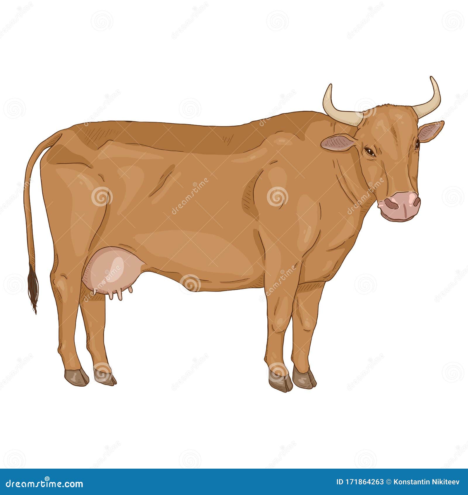 Cartoon Brown Cow. Vector Comics Style Illustration Stock Vector ...