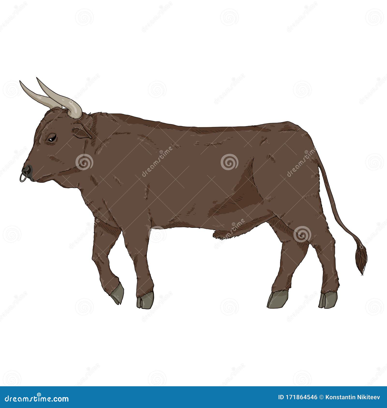 Cartoon Bull. Vector Color Illustration Stock Vector - Illustration of ...