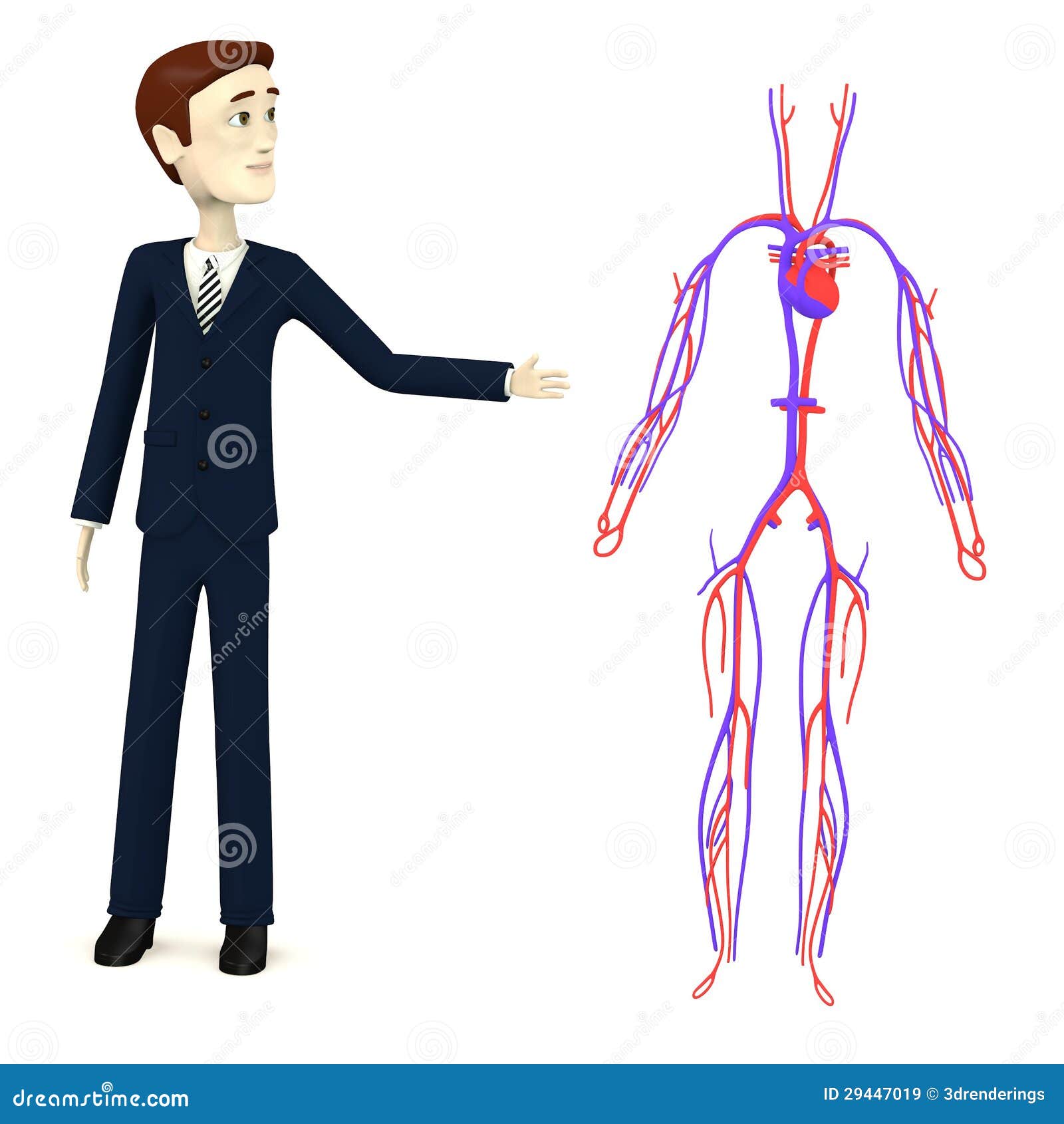 Render Of Circulatory System Royalty-Free Stock Photo | CartoonDealer ...