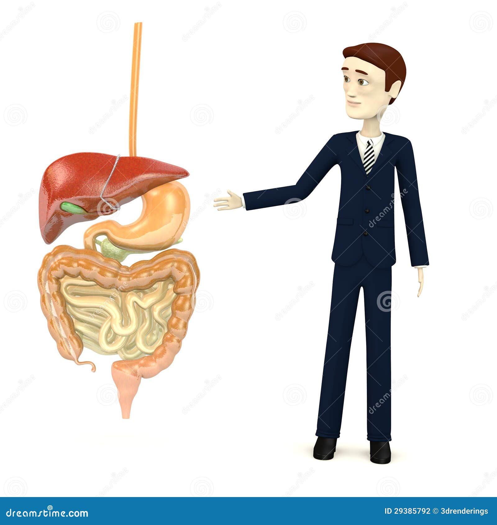 Cartoon Businessman with Digestive System Stock Illustration ...