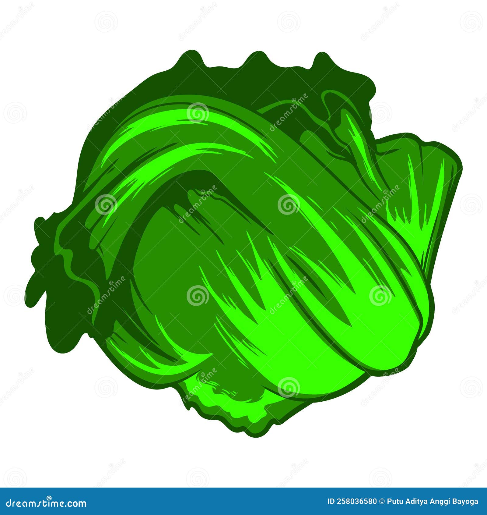 Cartoon cabbage stock vector. Illustration of simple - 258036580