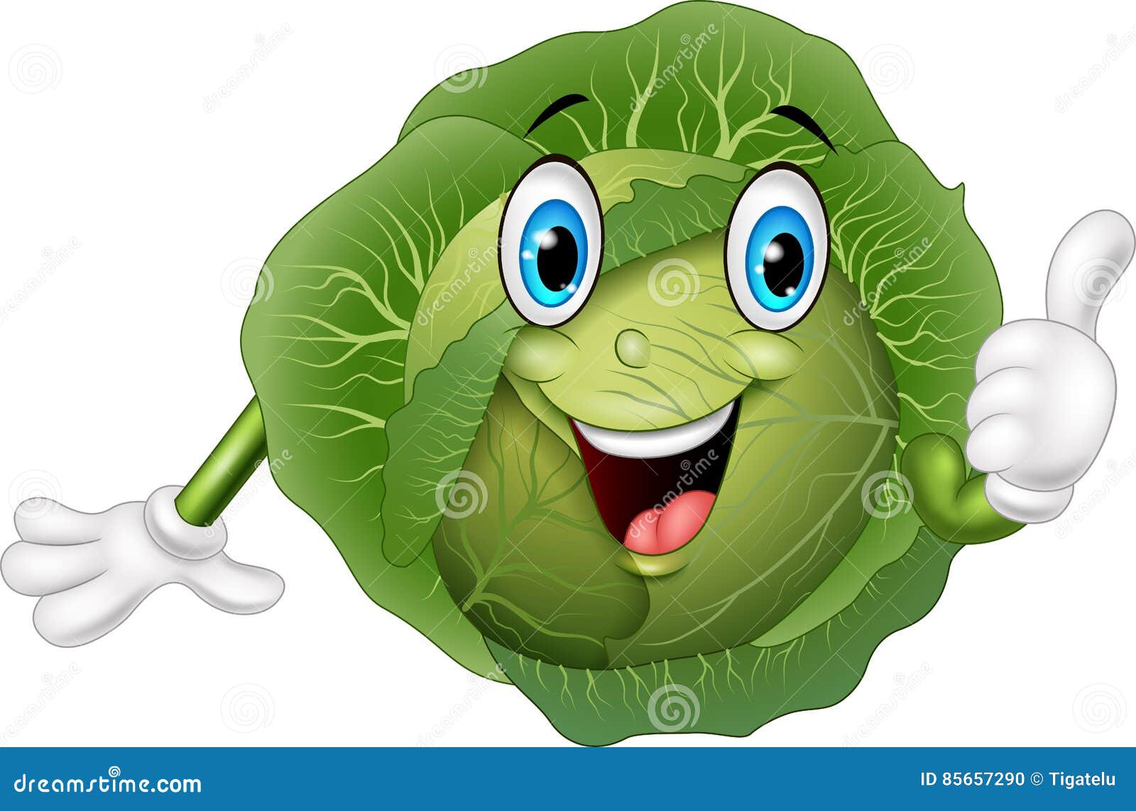 Cartoon Cabbage Giving Thumbs Up Stock Vector - Illustration of ...