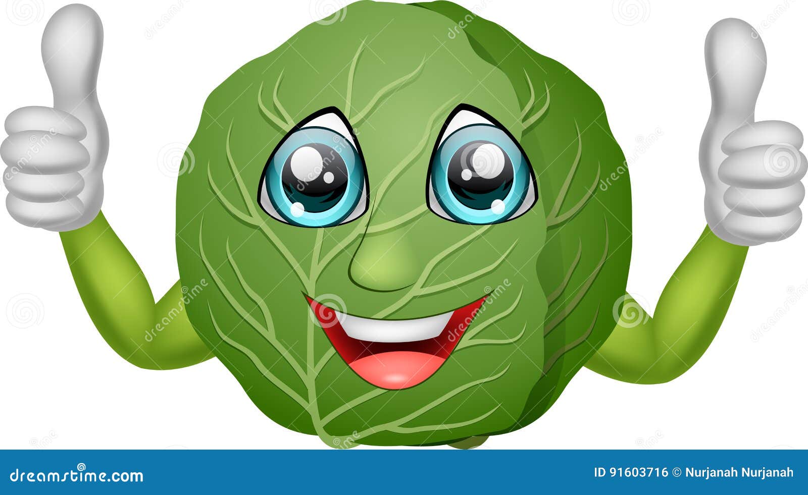 Cartoon Cabbage Giving Thumbs Up Stock Vector - Illustration of market ...