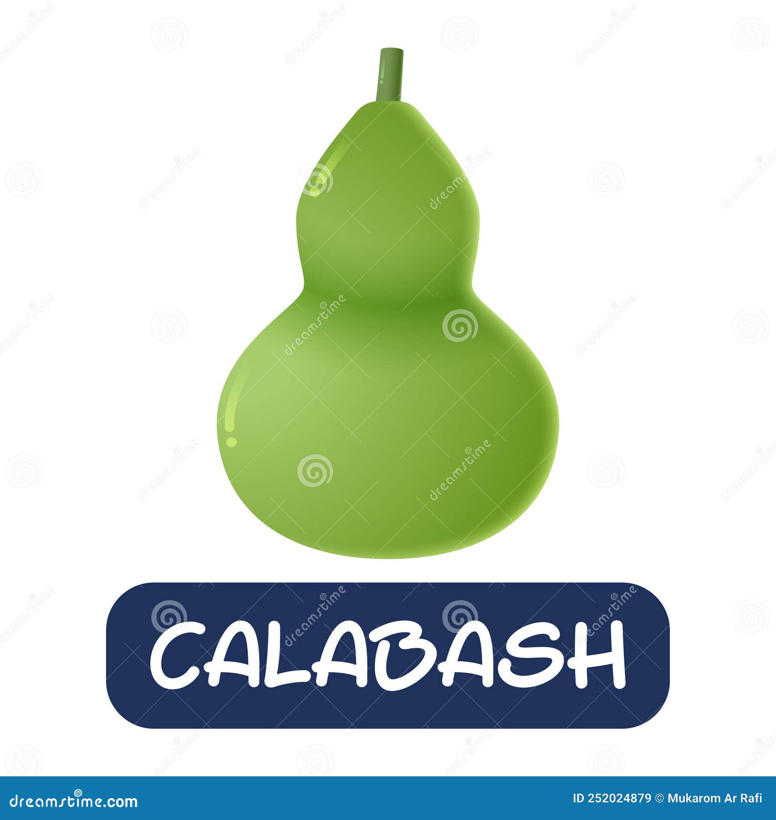 Cartoon Calabash Vegetables Vector Isolated On White Background ...