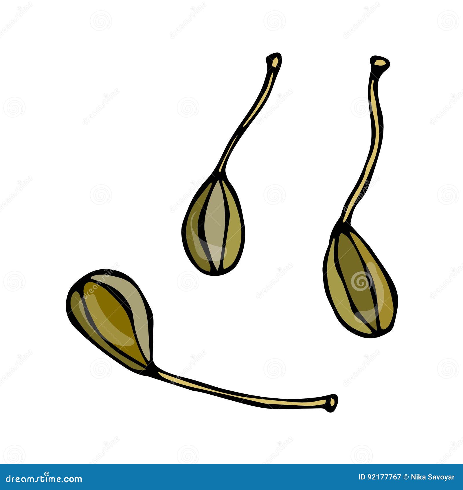 Cartoon Capers. Doodle Style Vector Design, Isolated on White ...