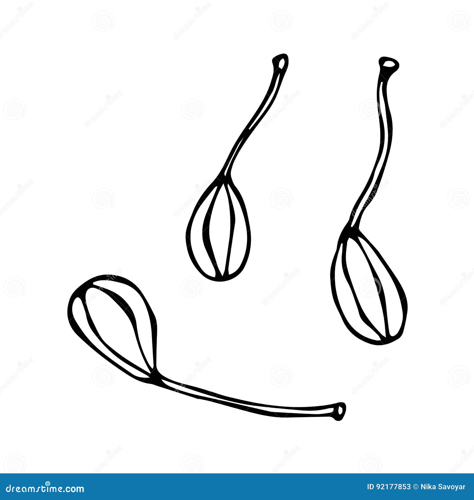 Cartoon Capers. Doodle Style Vector Design, Isolated on White ...