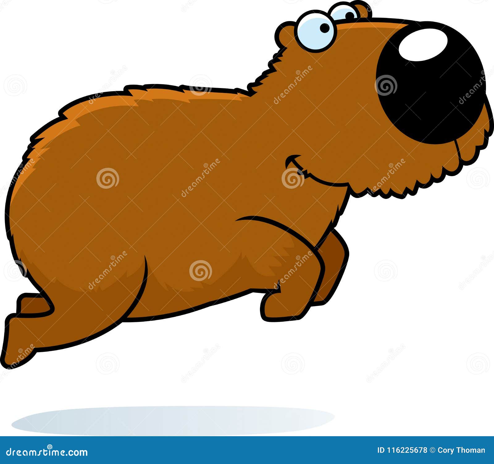 Capybara Jumping Stock Illustrations – 5 Capybara Jumping Stock ...