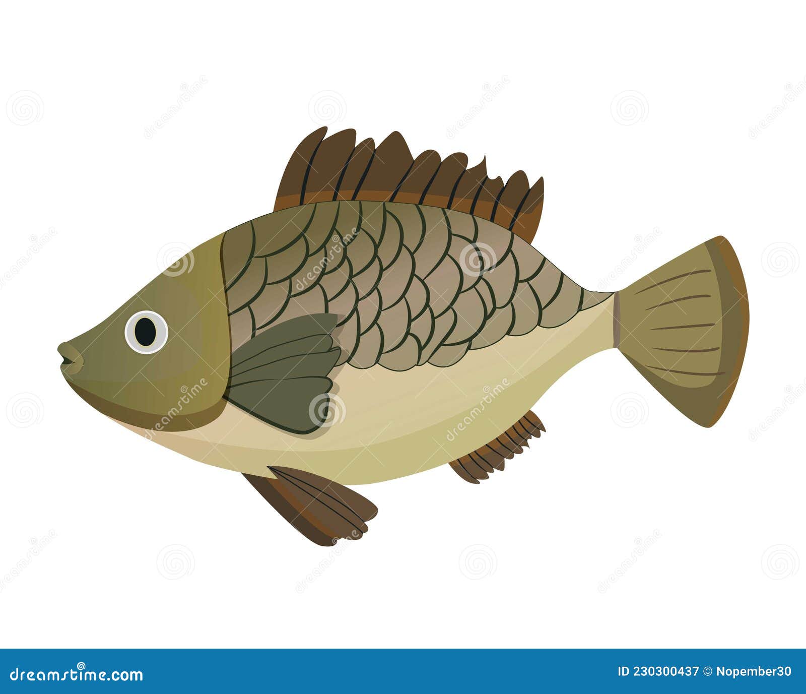 Cartoon carp fish stock vector. Illustration of college - 230300437