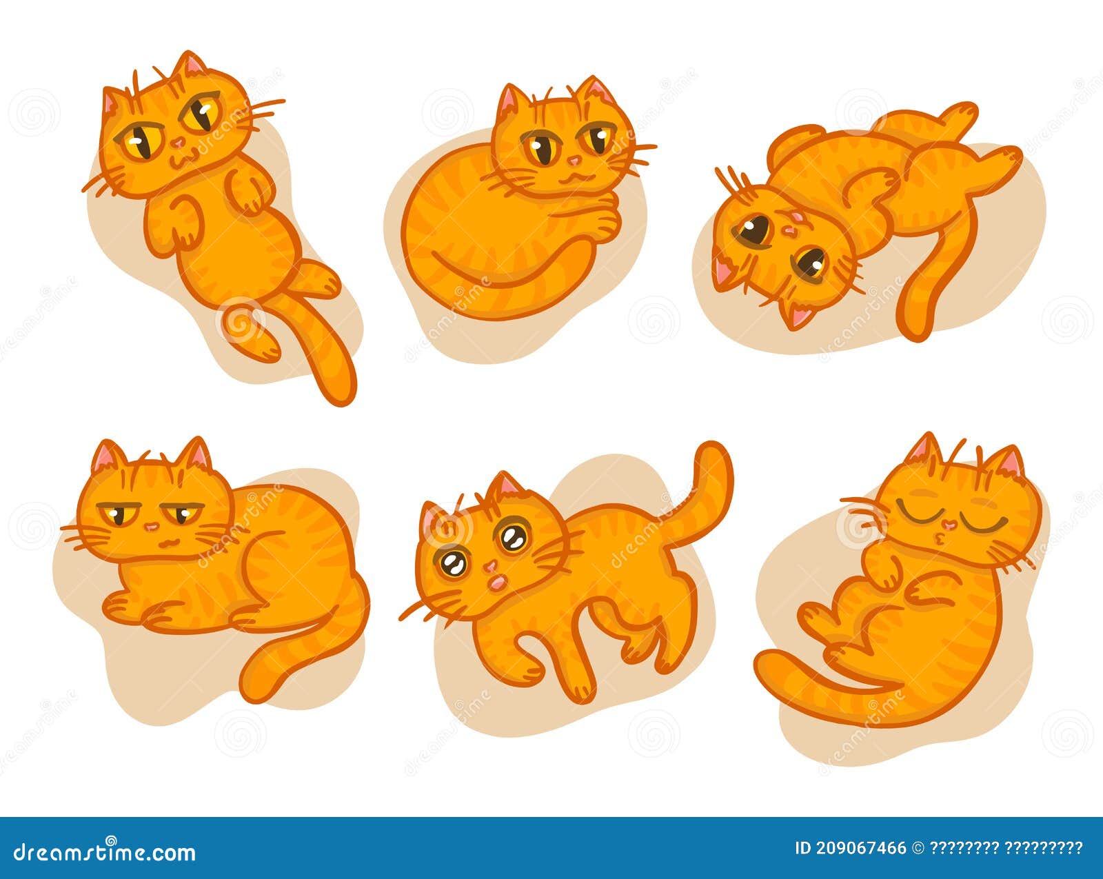 Cartoon Cat Set With Different Poses And Emotions Set Of Funny Cat