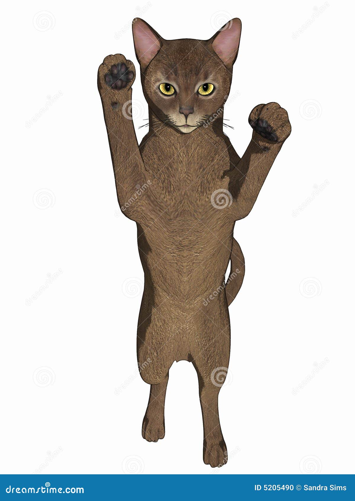 Cartoon Cat Shadow Boxing stock illustration. Illustration of computer ...
