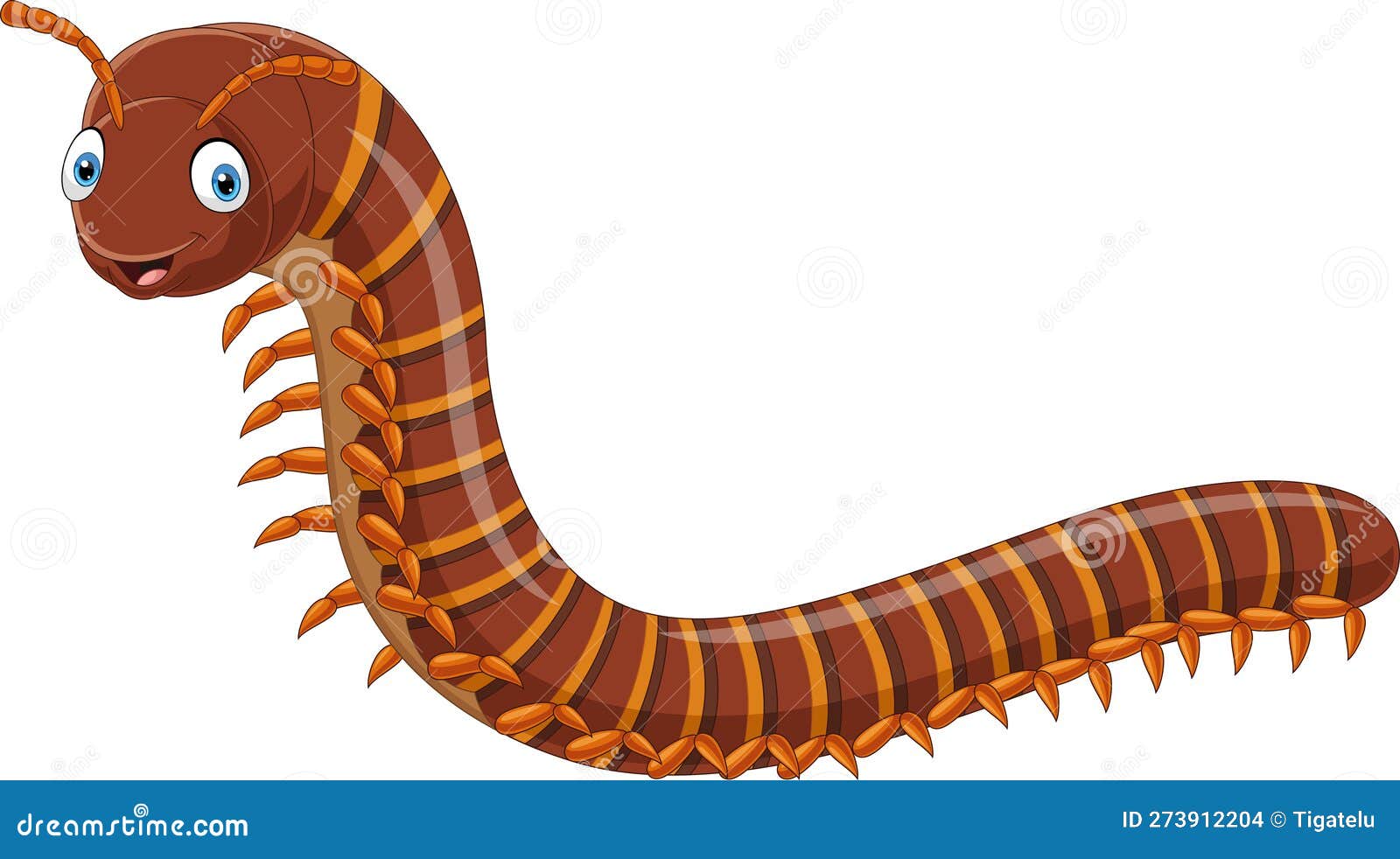 Cartoon Centipede Isolated on White Background Stock Vector ...