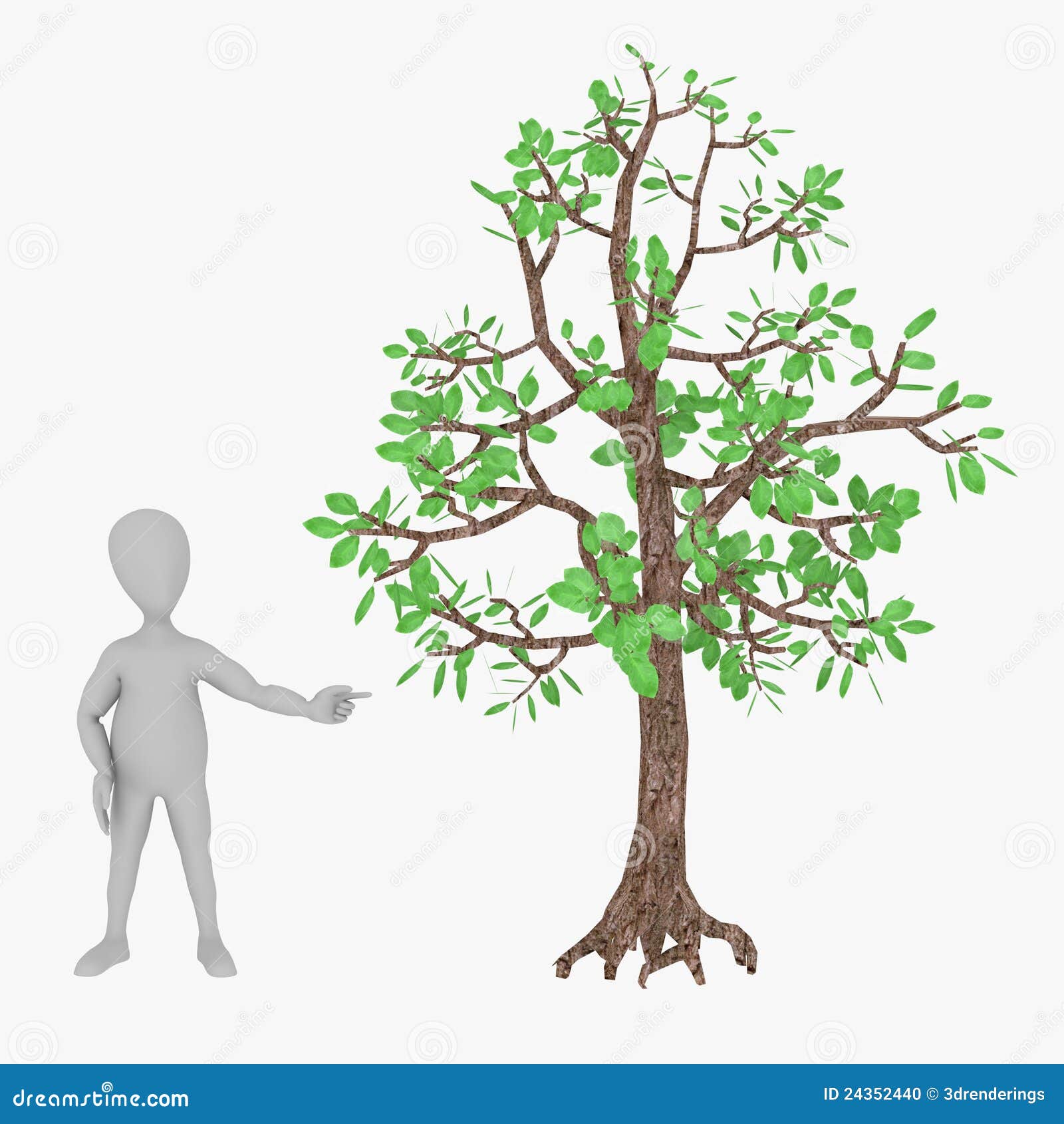 Cartoon Character with Beech Tree Stock Illustration - Illustration of ...